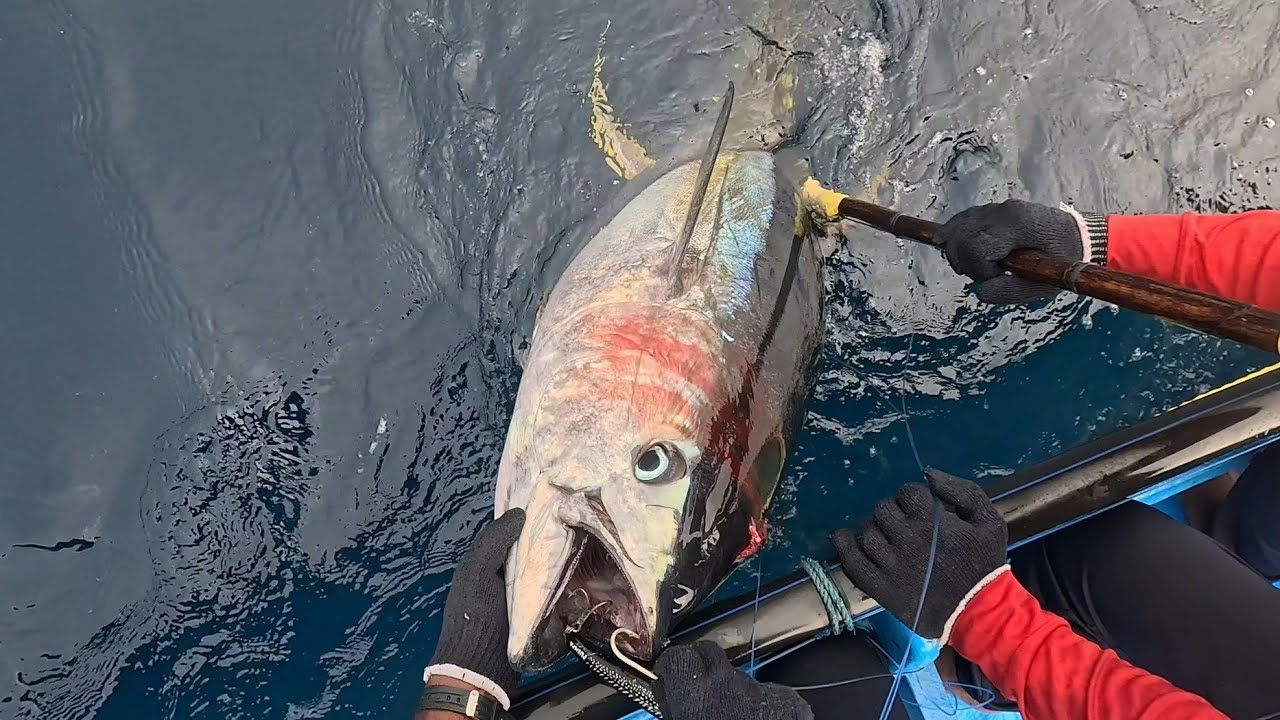A Day in Fishing 🎣in the Mid Ocean - YouTube