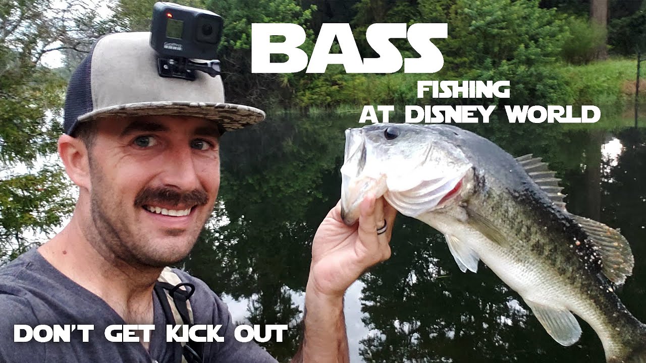 Kick out of Disney World Bank fishing for Bass ?????? - YouTube
