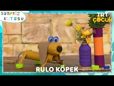 Sürpriz Kutusu - Rulo Köpek