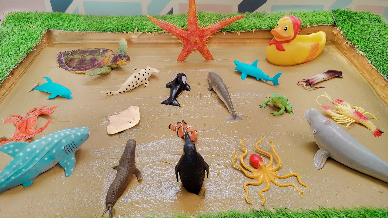 The Unexpected Adventures of Sea Animals and Ocean Creatures in the ...