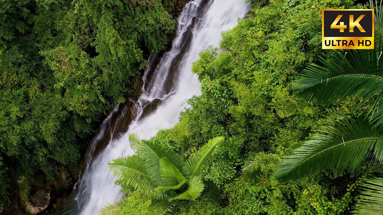 Whispering Nature: Waterfall in the Jungle | Relaxing White Noise for ...