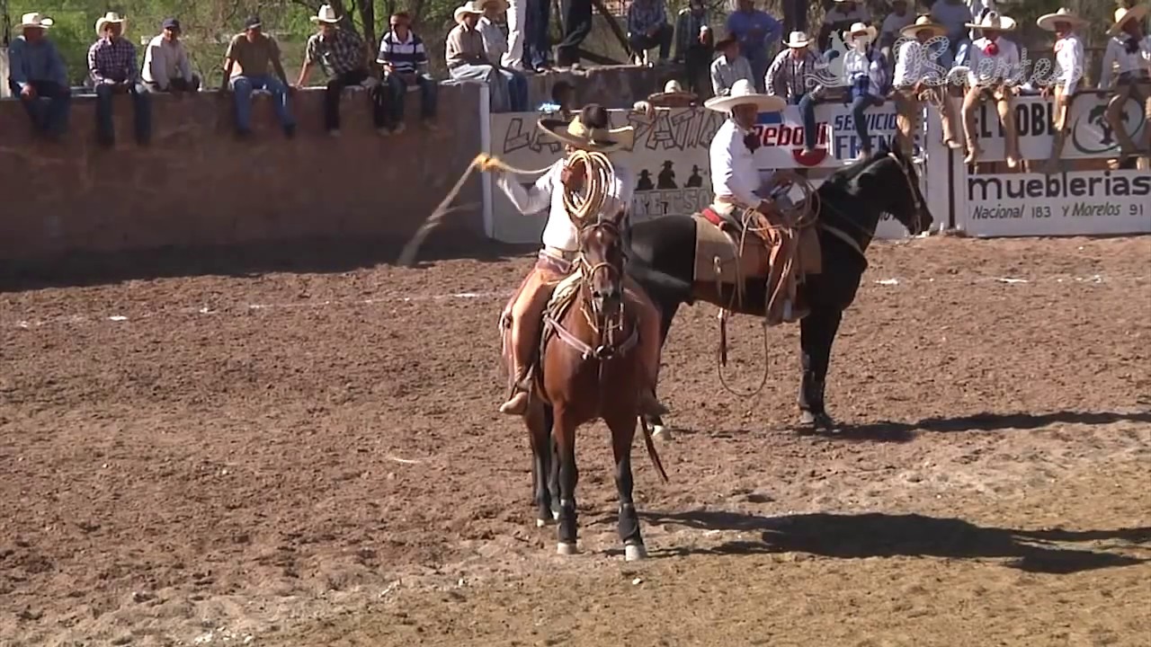 Charreada 3 Potrillos en Tlaltenango, Zacatecas - YouTube