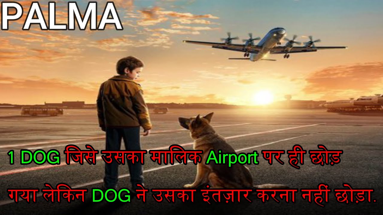 A Dog Named Palma (2021) Movie Explained in Hindi | Summarized in ...