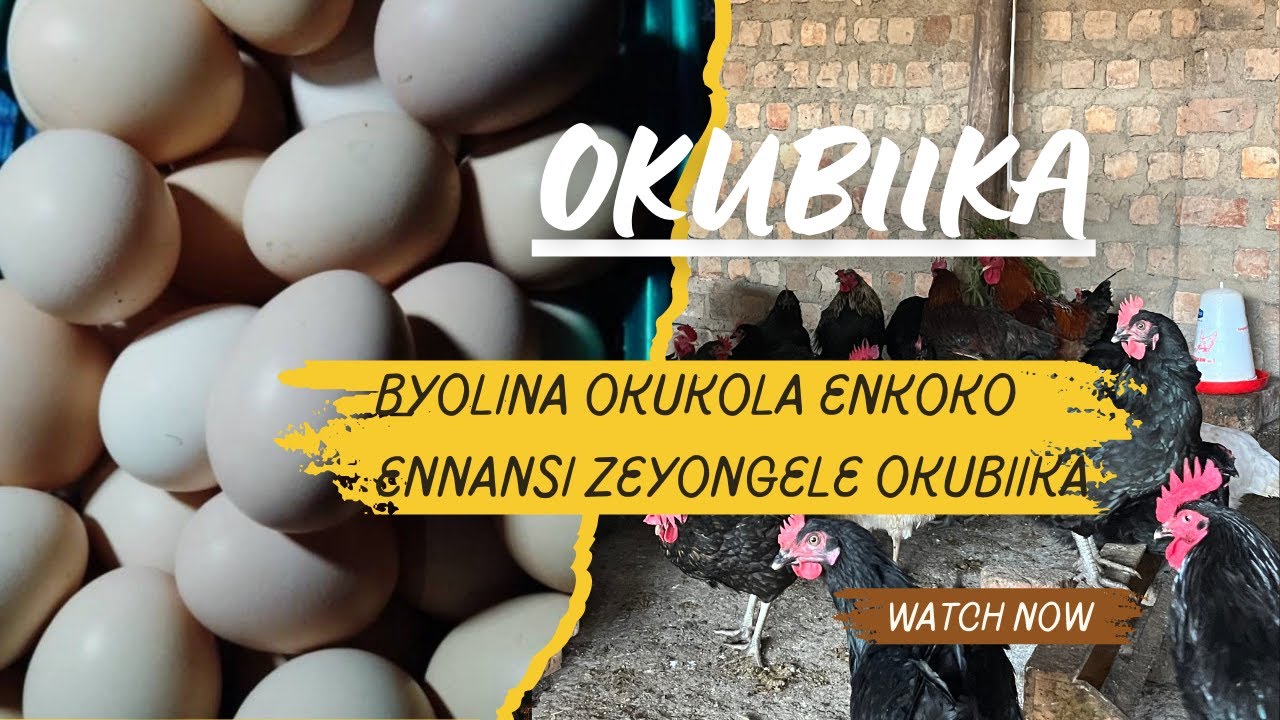 OKUBIIKA: BYOLINA OKUKOLA ENKOKO ENNANSI ZEYONGERA OKUBIIKA - YouTube