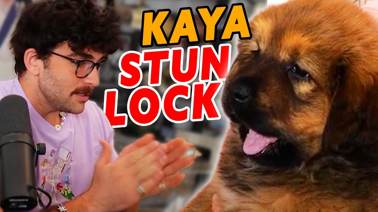 Hasanabi Gets Stunlocked By Kaya Youtube