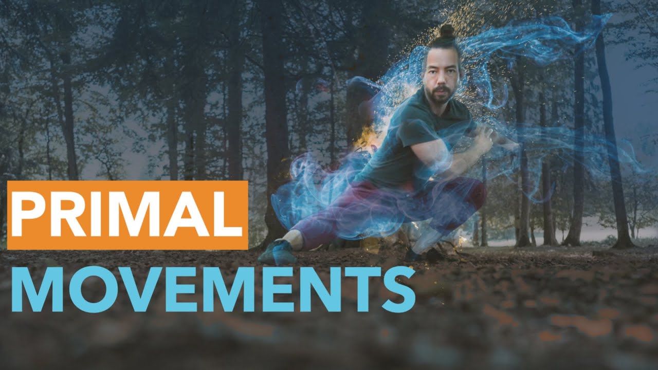 3 Primal Movements Every Beginner Needs To Do - YouTube