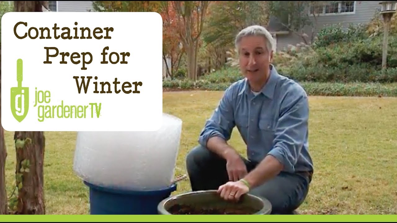 How to Prepare Plants & Containers for Winter - YouTube