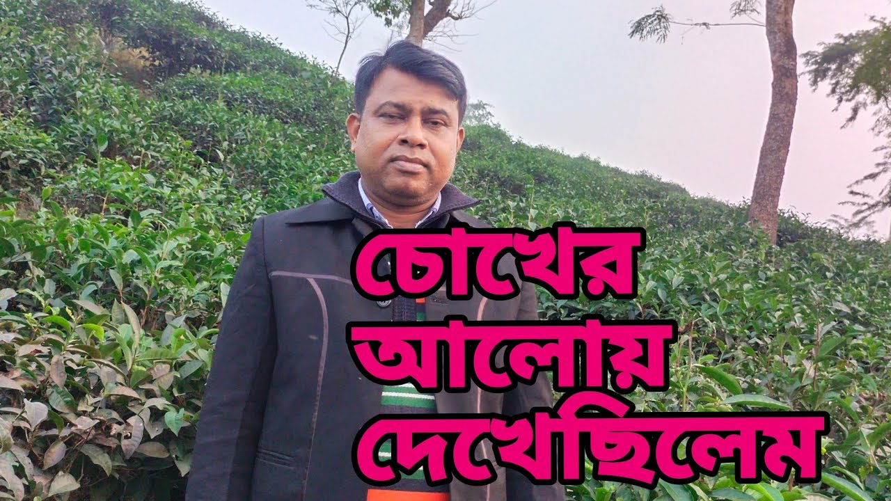 Chokher aloy Dikhe Chilam. written byRabindranath Thakur. cover Shilpi Dilip Kumar adhikary ...
