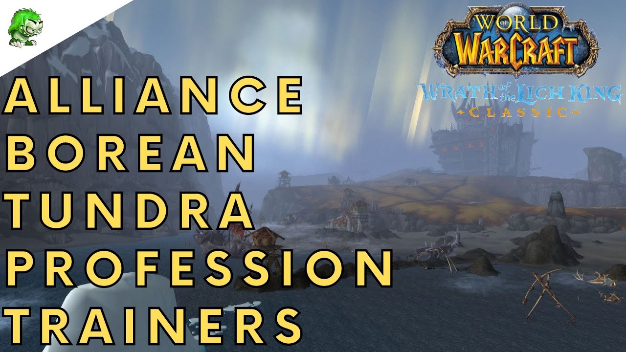 Wotlk Classic Alliance Borean Tundra Profession Trainers - YouTube