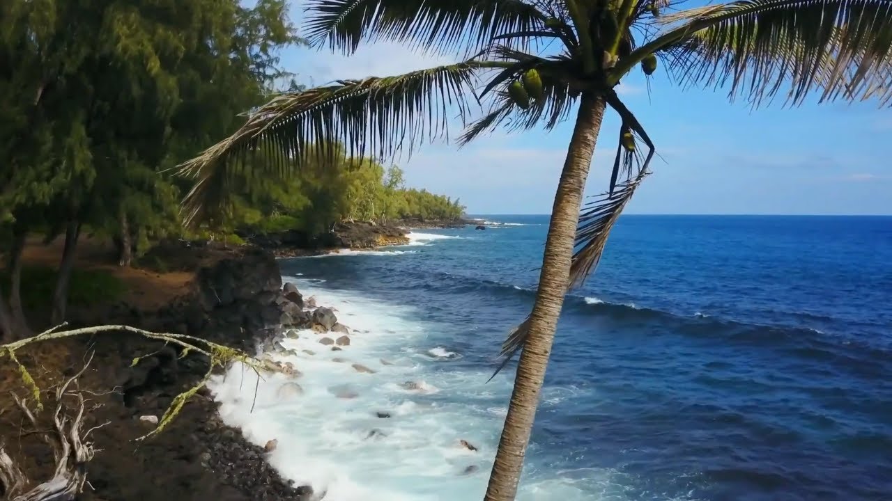 Tropical Beach Relaxation | Beautiful Beaches - Relaxing Piano Music ...