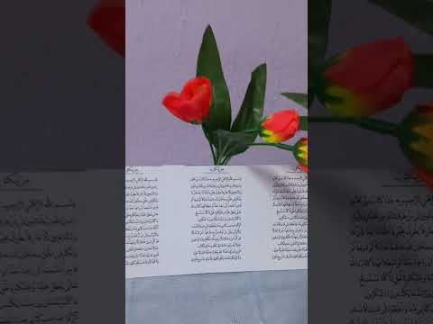 CİN MEKTUBU. MUSALLATTAN KURTULMA