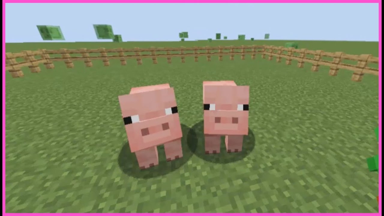 18+ Pig Movie - YouTube