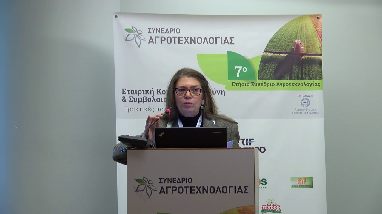 ΑΙΝΗ ΜΙΧΑΗΛΙΔΟΥ , Διευθύνουσα Σύμβουλος, Ε.Β.Υ.Π. | Συντονίστρια - YouTube