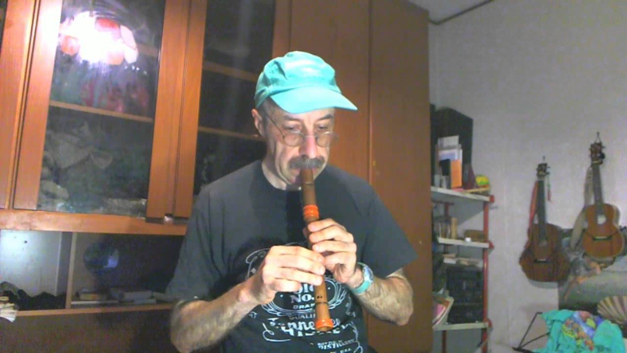 Is it true what they say about Dixie ?-recorder - YouTube