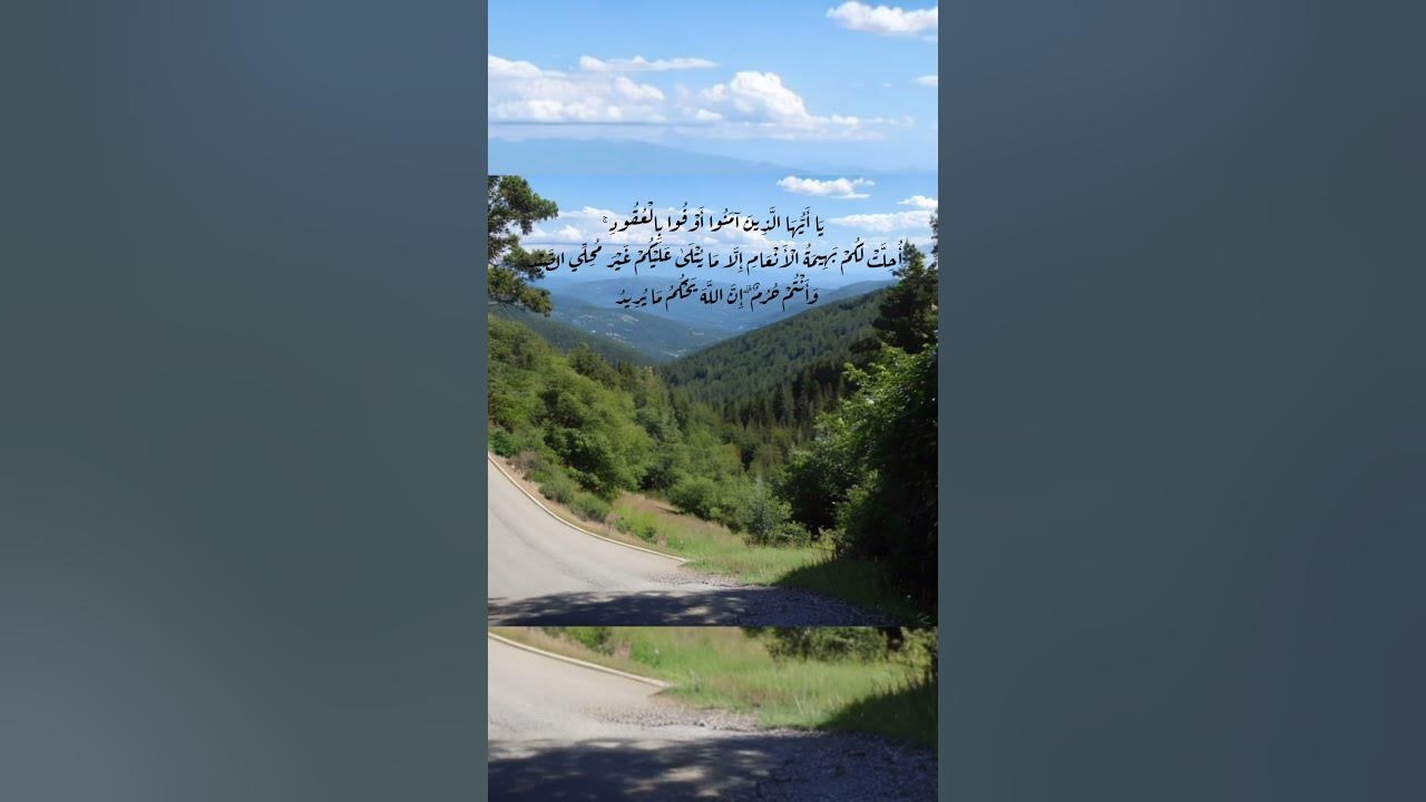 يَا أَيُّهَا الَّذِينَ آمَنُوا أَوْفُوا بِالْعُقُودِ ۚ Youtube