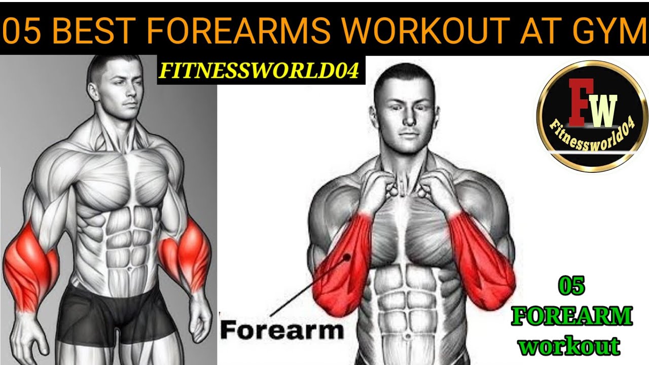 05 BEST FOREARM WORKOUT AT GYM perfect forearm workout - YouTube