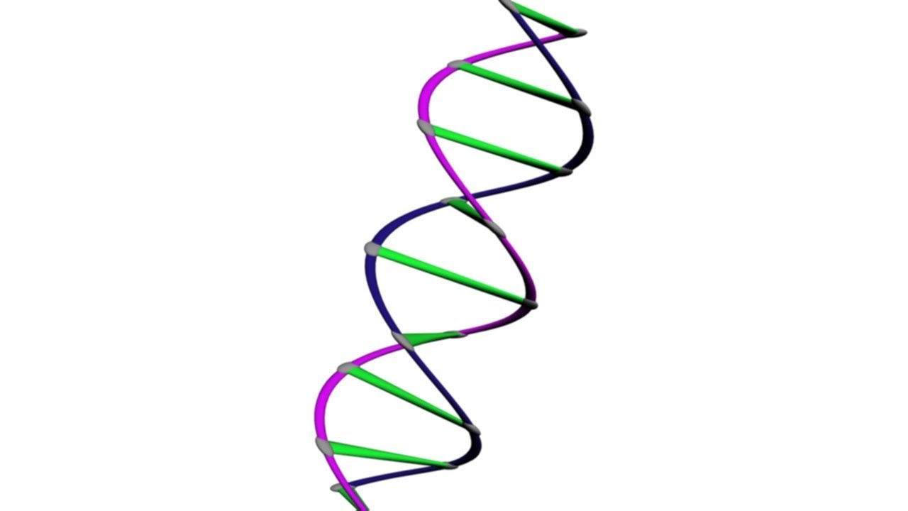 Modeling DNA in 3Ds max - YouTube