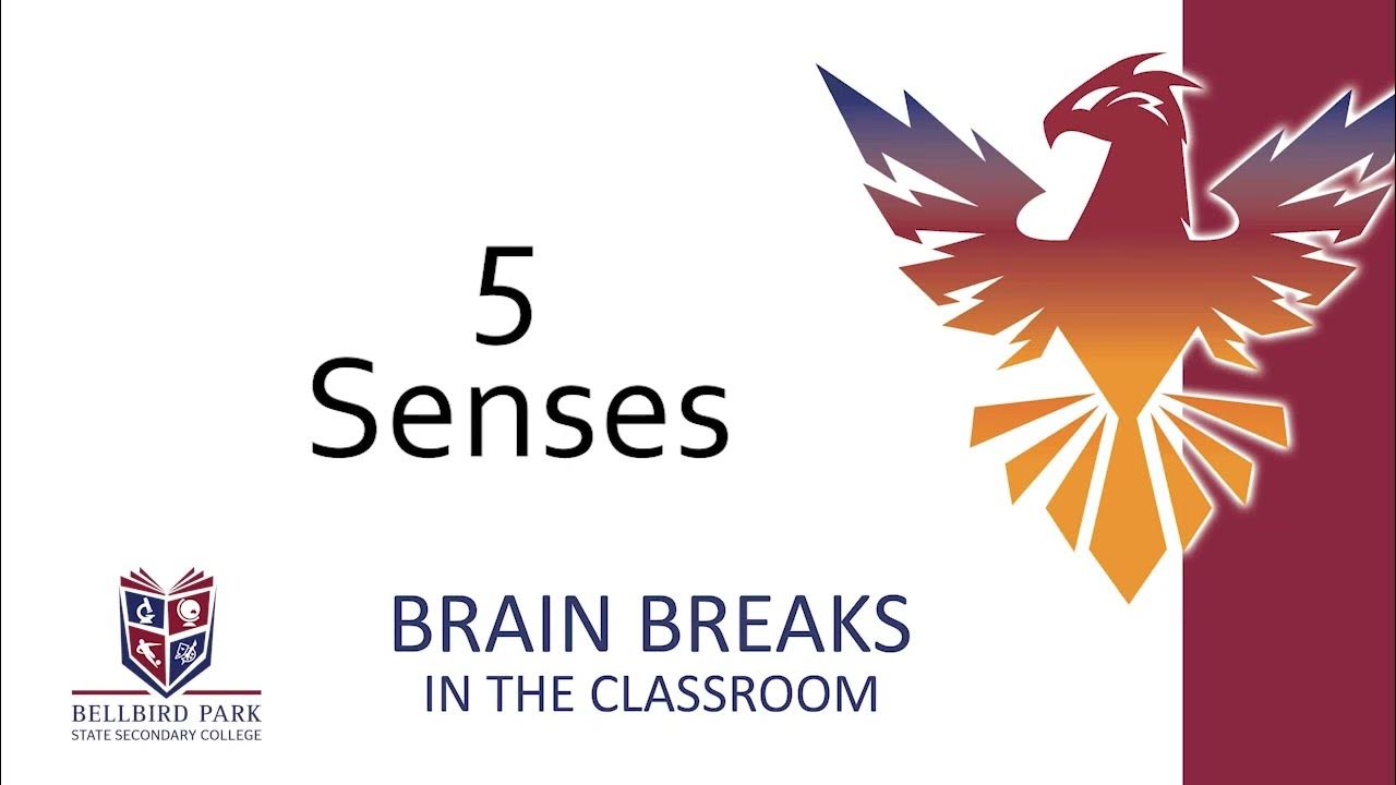 Brain Break 5 Senses - YouTube