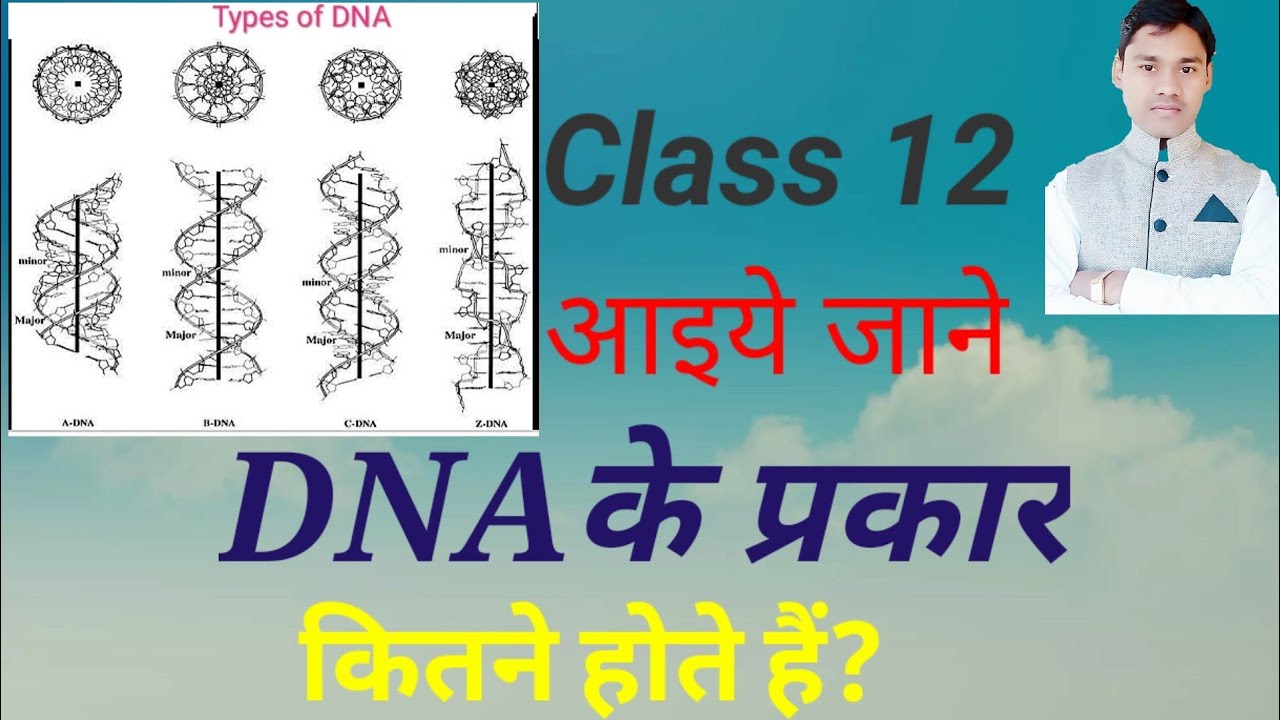 types of dna class 12 ( DNA के प्रकार) vidio 69 - YouTube