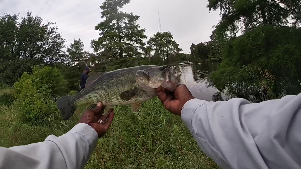 Ep 30 | FROG FEVER ️They’re Smashing the Frog‼️ CRAZY BLOWUPS + BIG ...