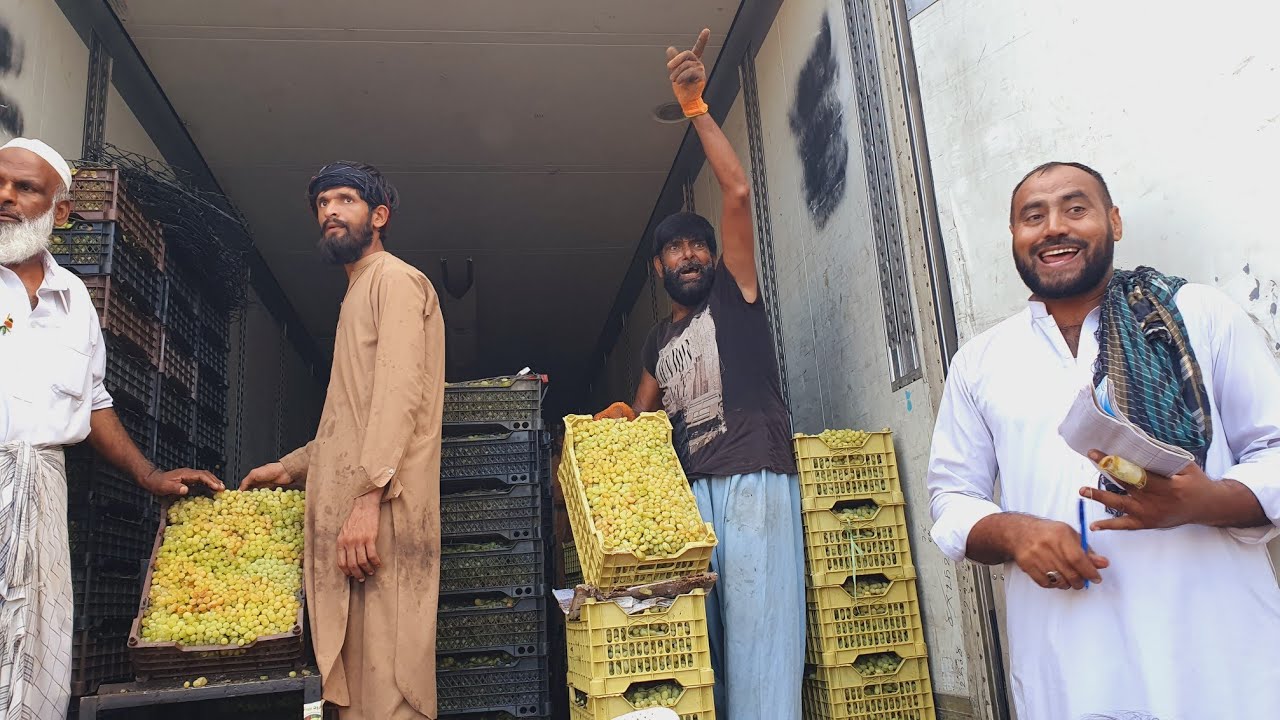 Afghanistan Special Black Grapes | Gola and Sundar Khani Grapes | Daily ...