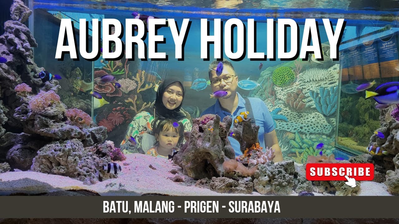 Aubrey Vlog 004 - YouTube