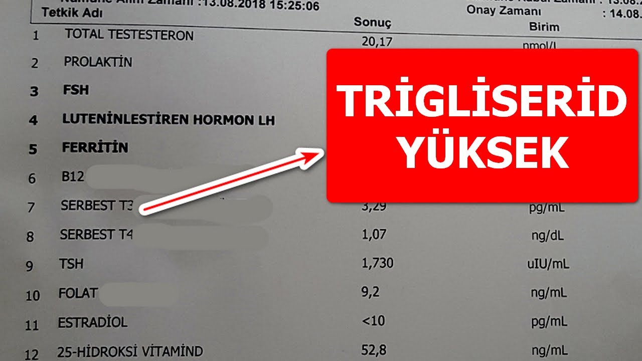 TRİGLİSERİD YÜKSEKLİĞİ NEDEN OLUR? TRİGLİSERİDİ DÜŞÜRMENİN 5 YOLU NEDİR ...