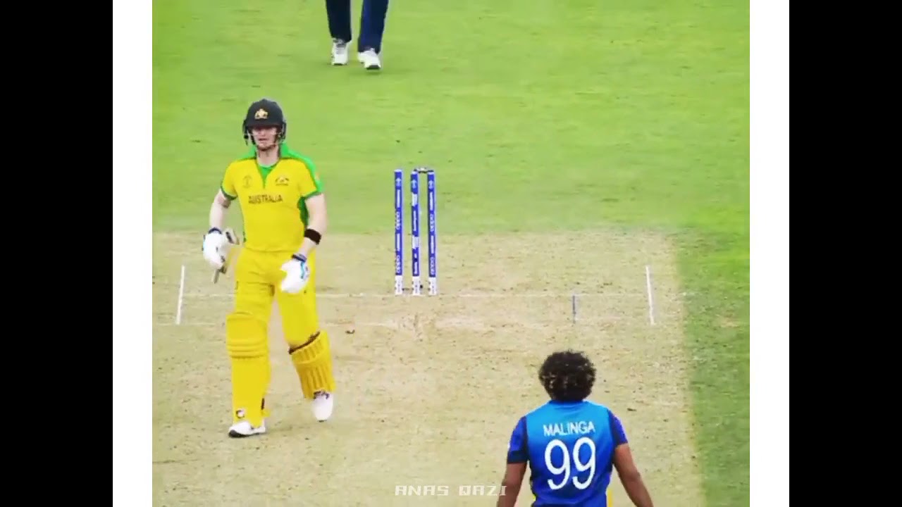 Instagram Viral Reels | Cricket Reels |Viral Cricket Reels |New ...