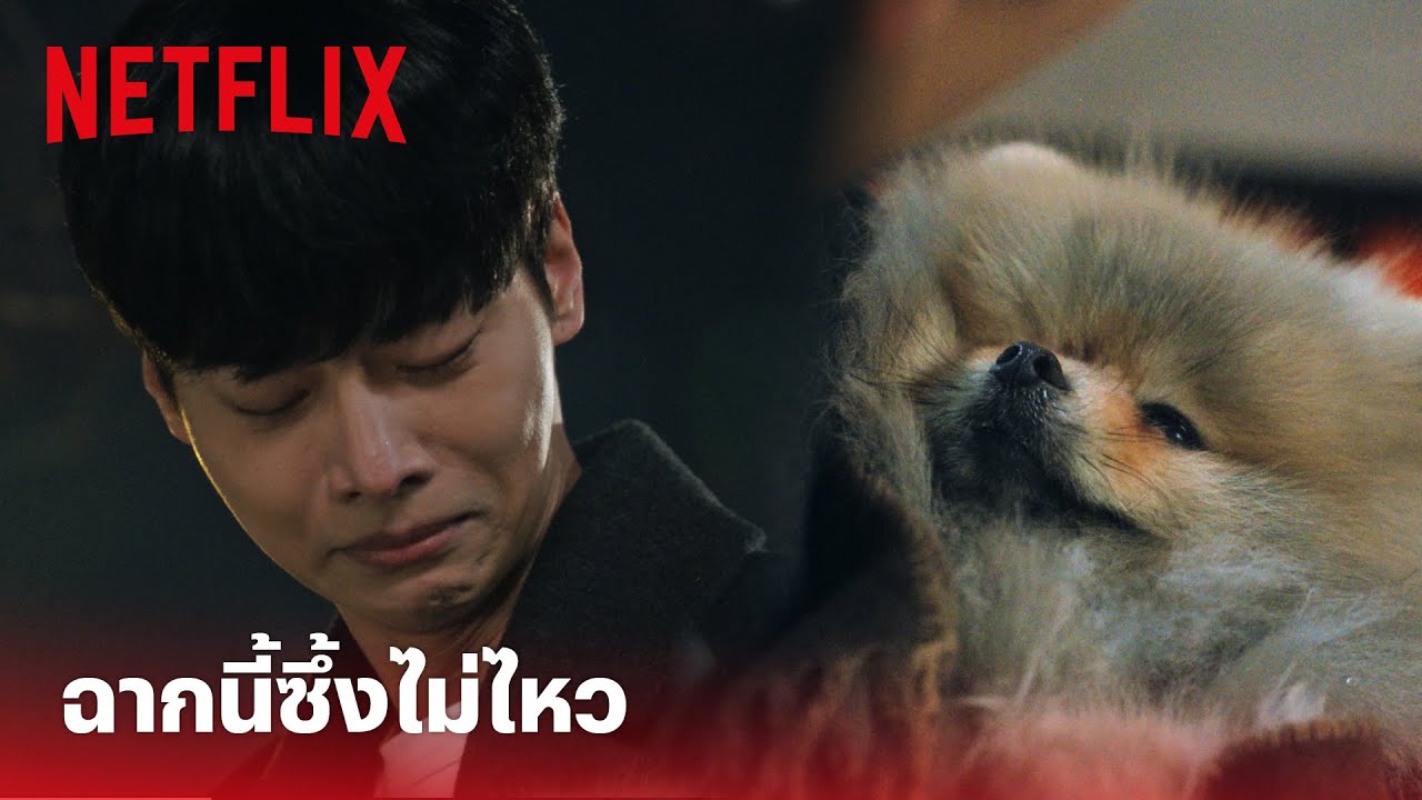 Tomorrow EP.9 Highlight - น้ำตาแตกเลยฉากนี้ 'น้องหมา' เล่นเอาซะซึ้งเลย ...