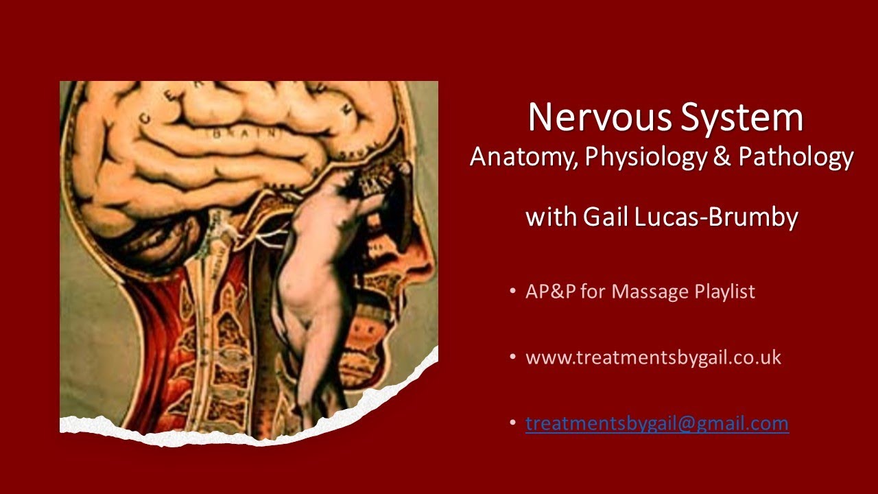 Nervous System with Gail Lucas Brumby - YouTube