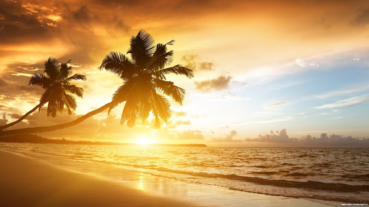 #Wonderful Nature's Sunshine At The #Beach - YouTube