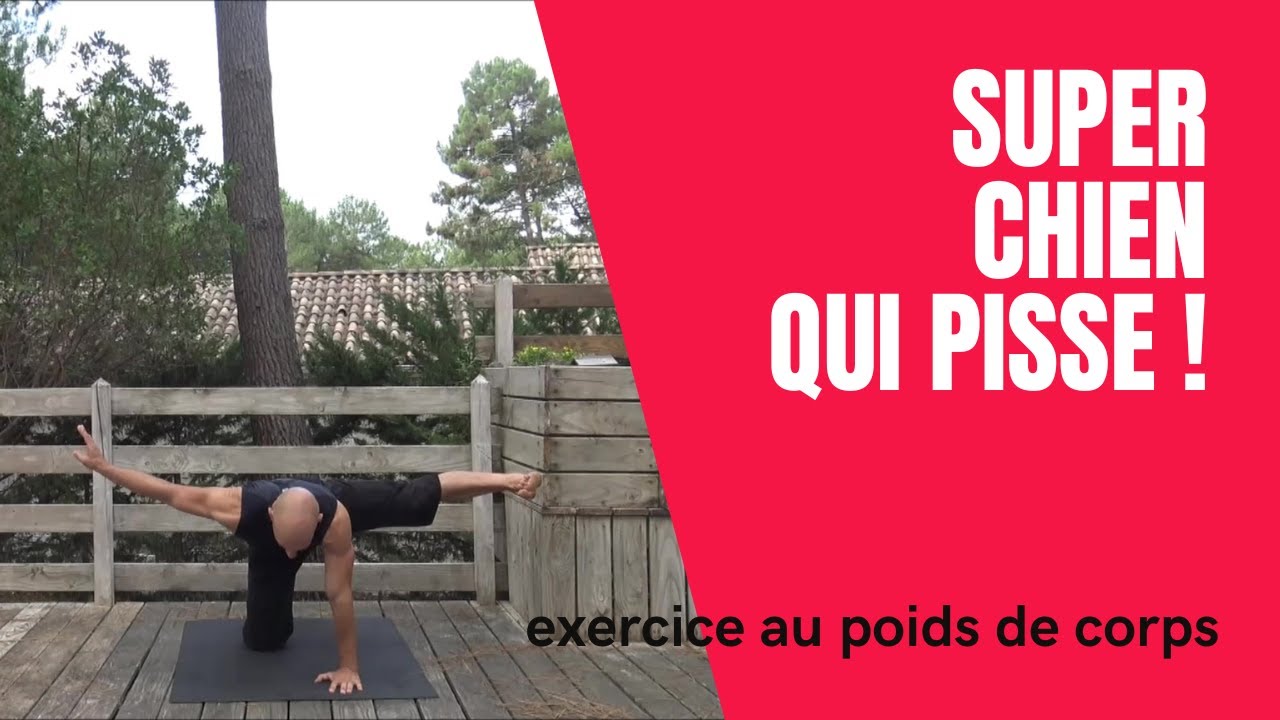 Chien qui pisse (4 variantes) : moyen fessier, ischio-jambier ...