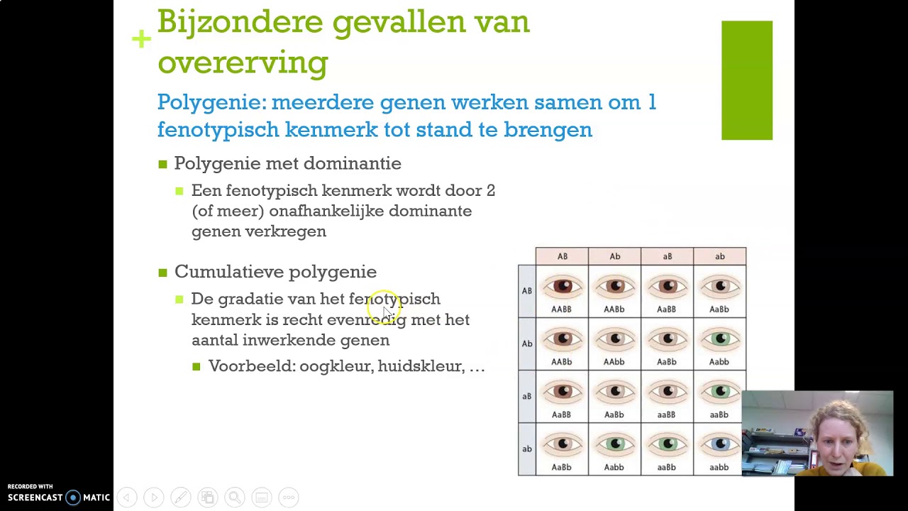 6 - Genetica - Multiple allelen + polygenie & cryptomerie - YouTube