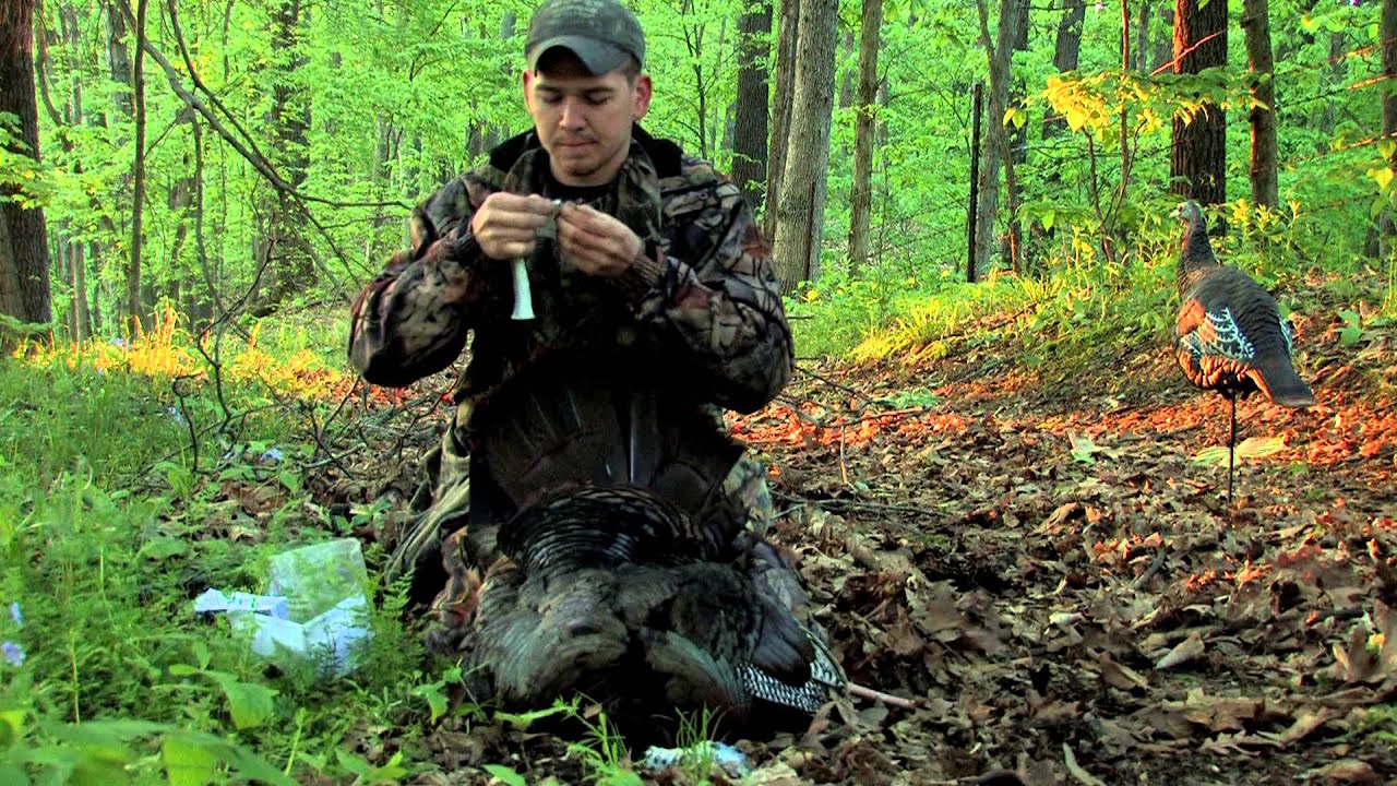 Turkey Hunting in the hardwoods - YouTube