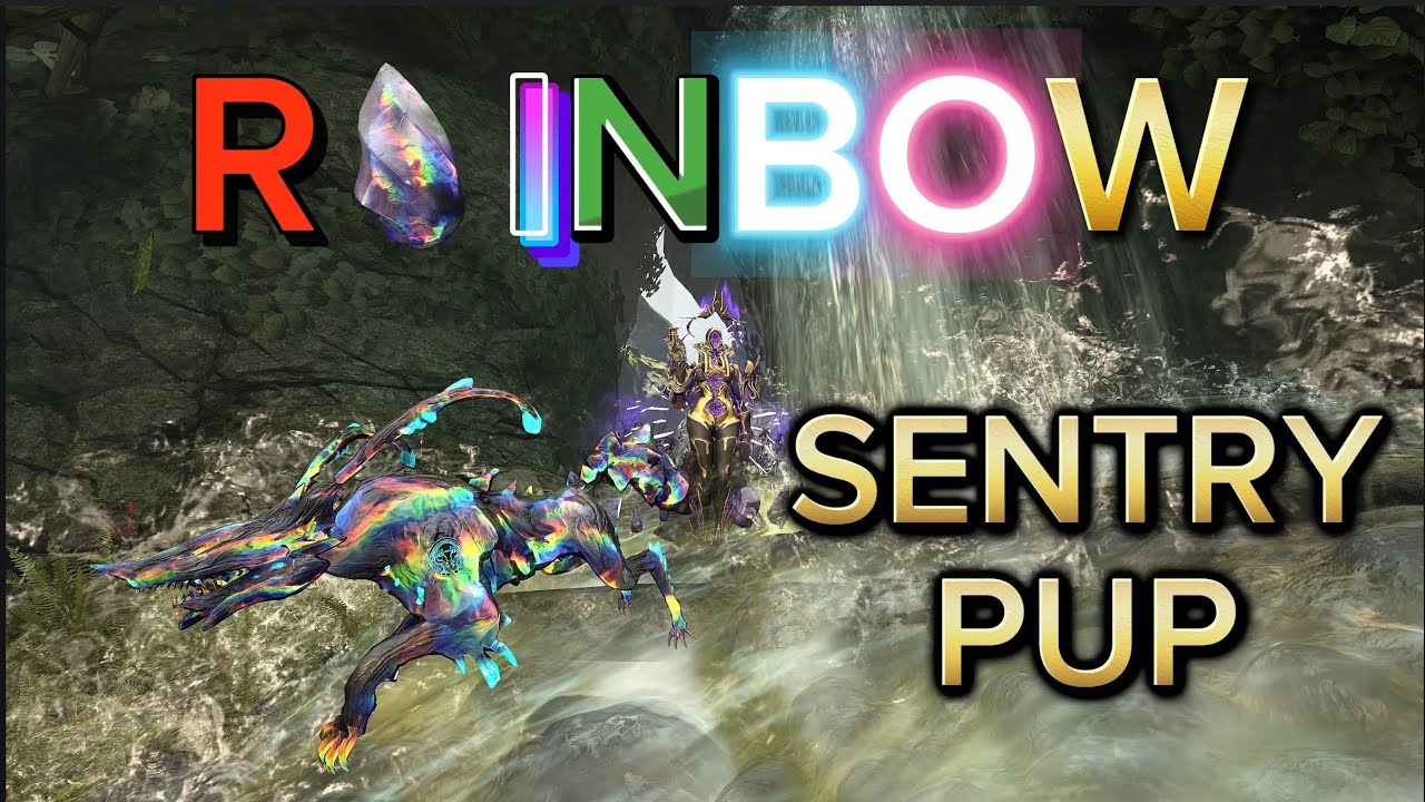 Double Augment Citrine Build | Pet Nuke Improved | Warframe ...