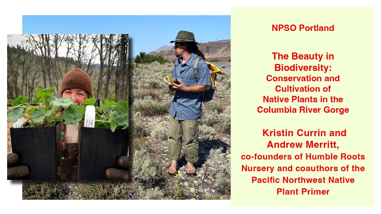 Beauty in Biodiversity: Conservation and Cultivation of Native Plants ...