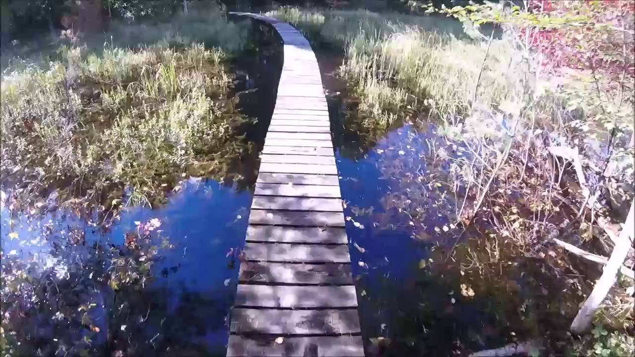 CAMBA trails. FlowMama River Pig and Makwa Boardwalk - YouTube