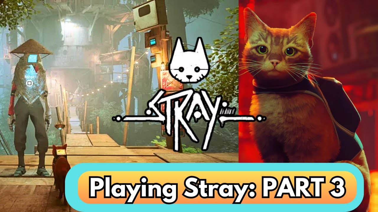 STRAY! Part Three - YouTube