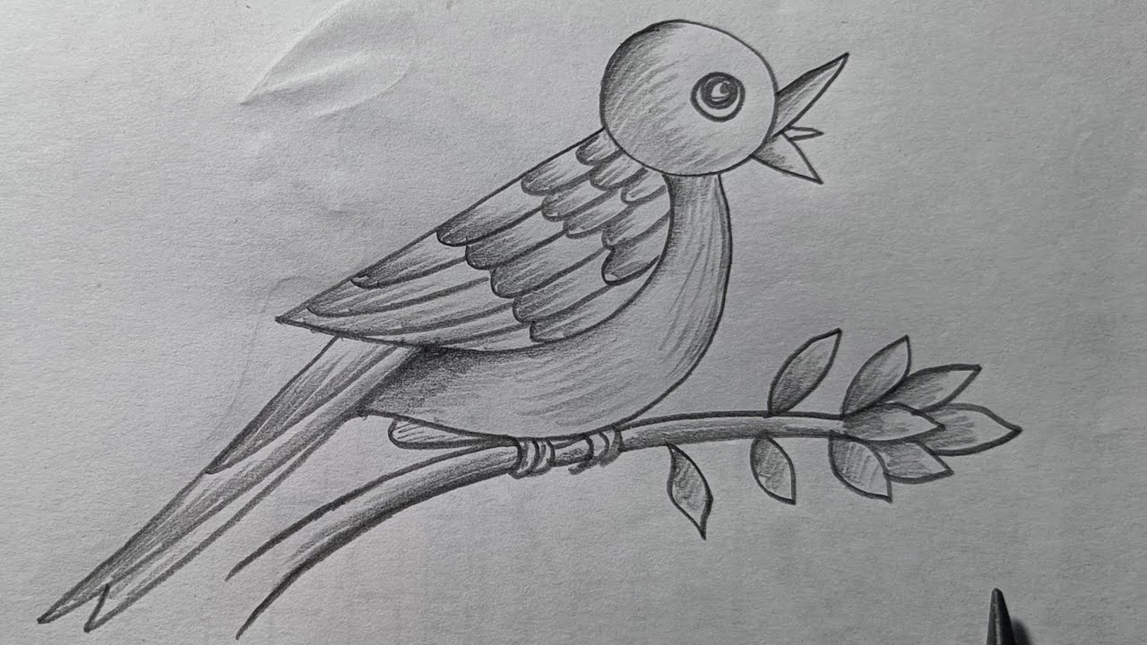 Learn to draw a bird using the letter O - Easy Bird drawing - YouTube