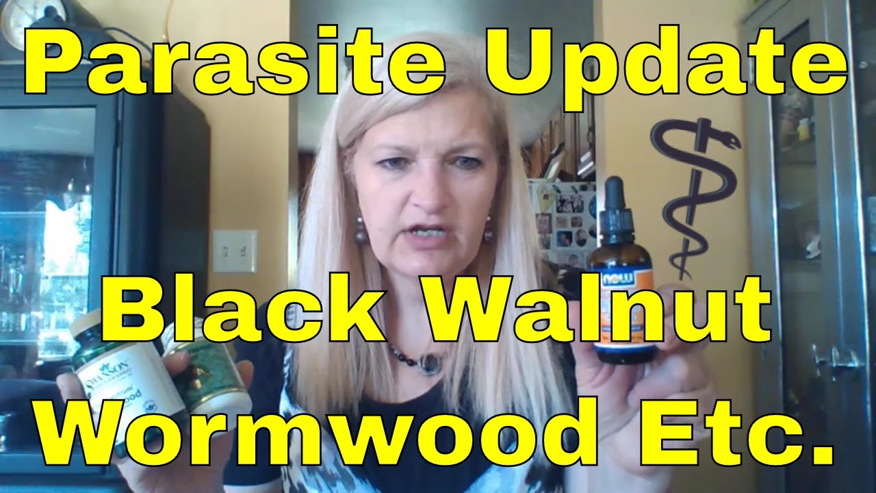 Life Update 9-2020 and Information on the Horsehair Nematomorpha ...