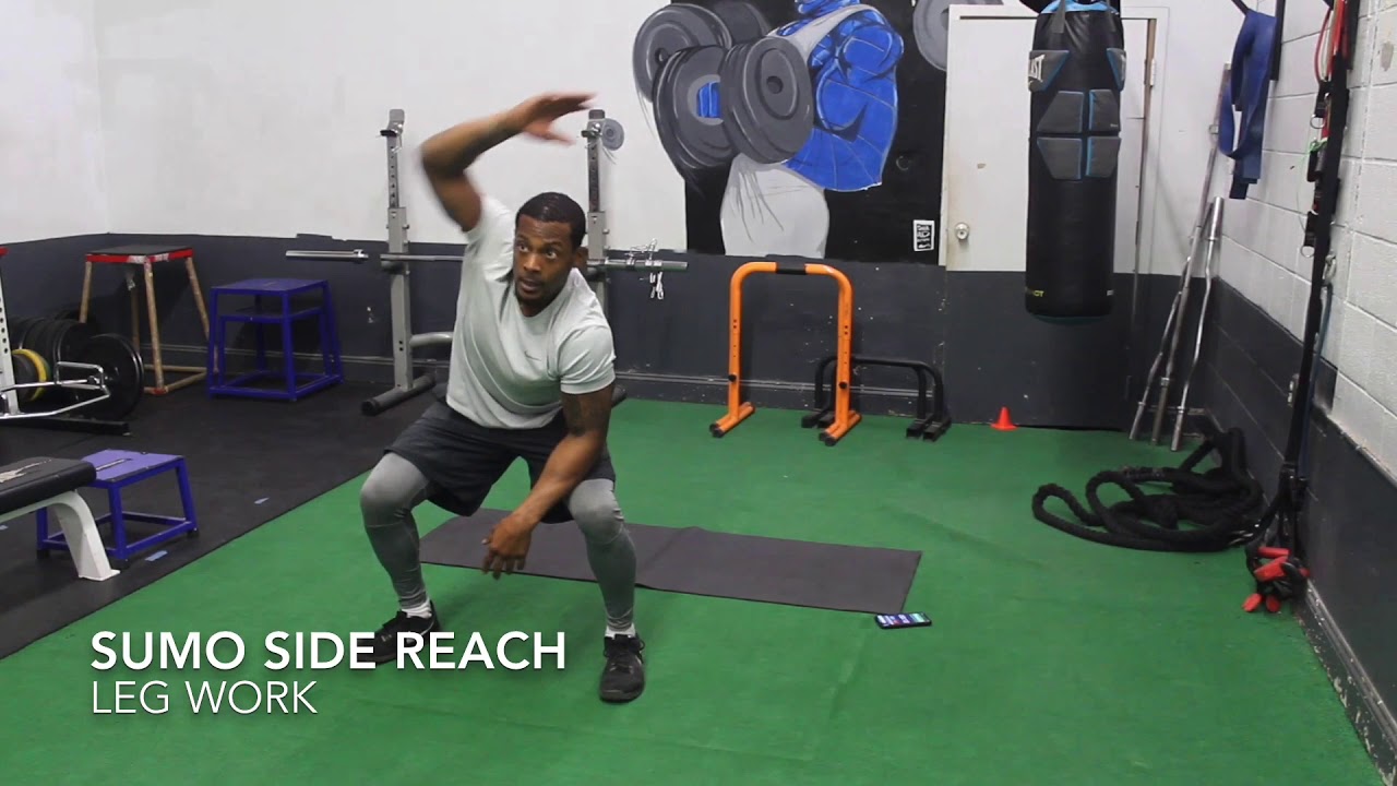 Sumo side Reaches - YouTube