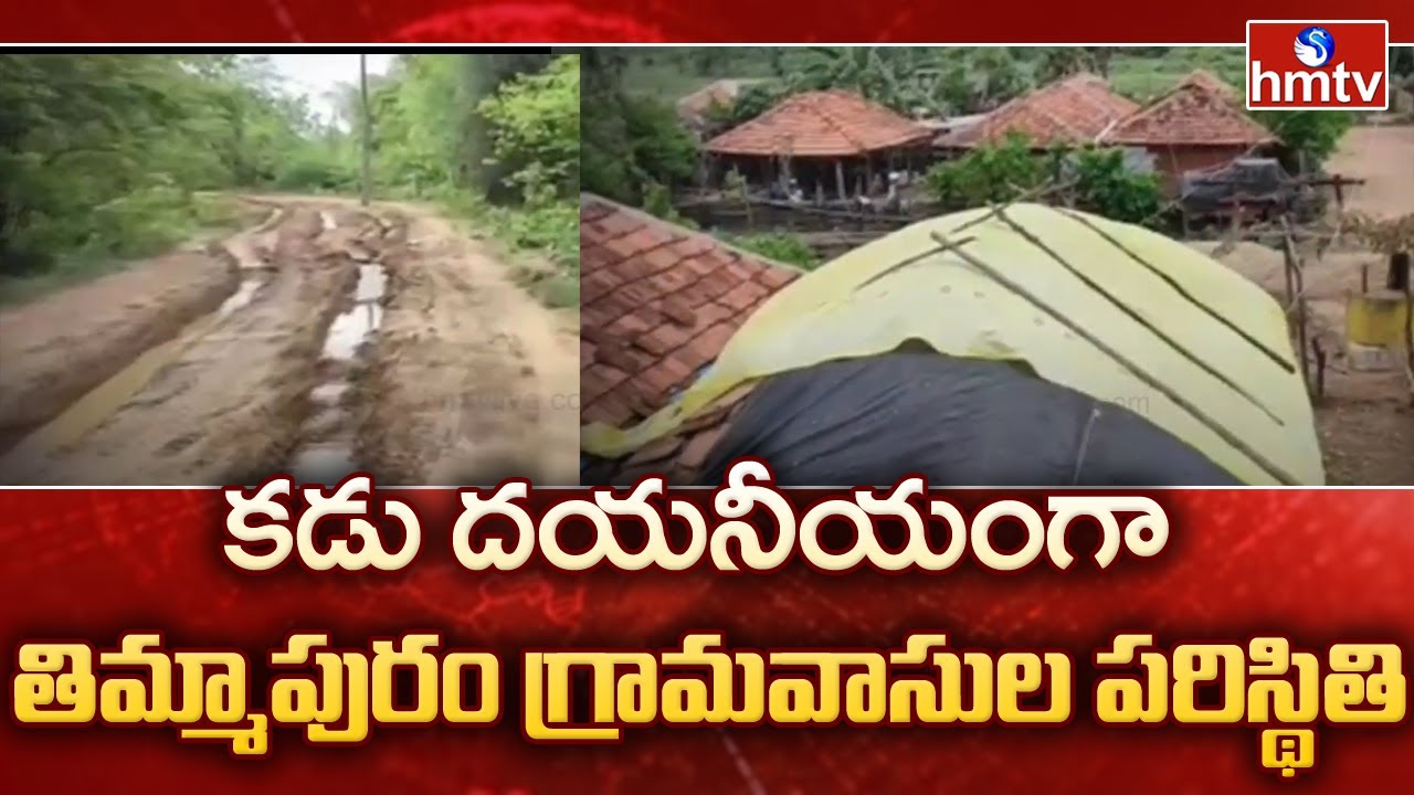 కడు దయనీయంగా తిమ్మాపురం గ్రామవాసుల పరిస్థితి : Special Focus on ...