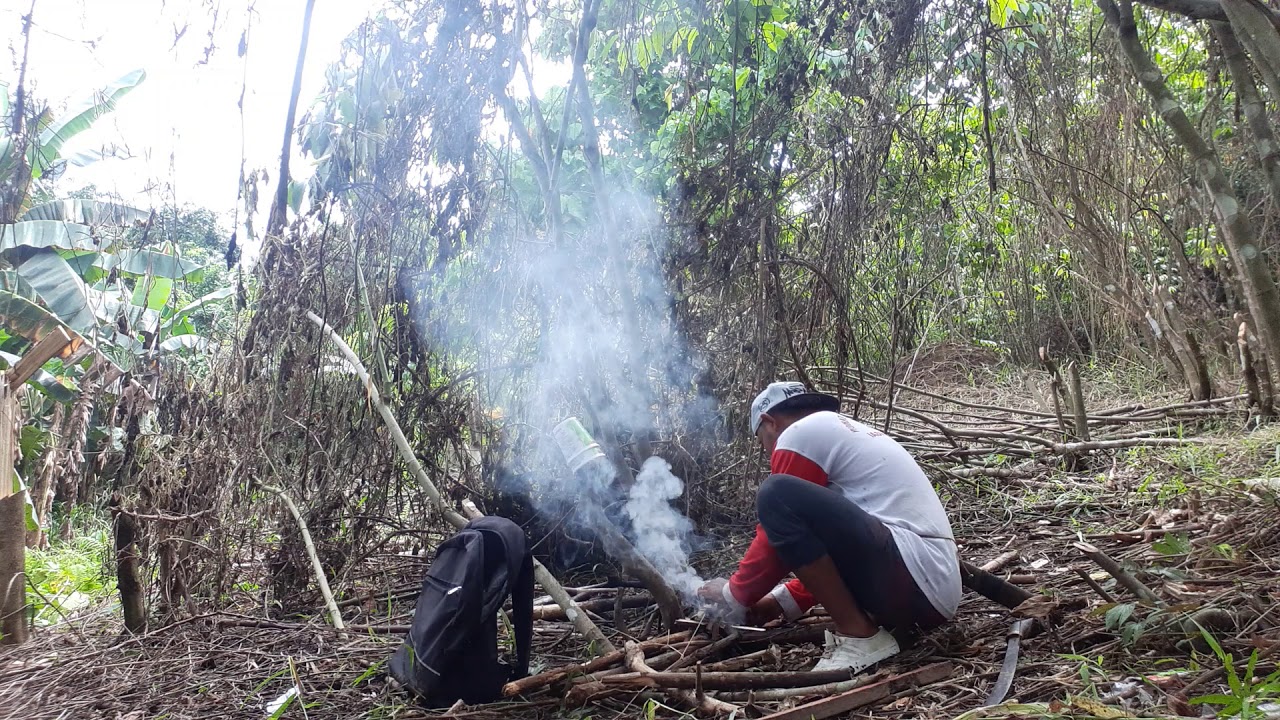 Totorial menghidupkan api saat kayu basah - YouTube