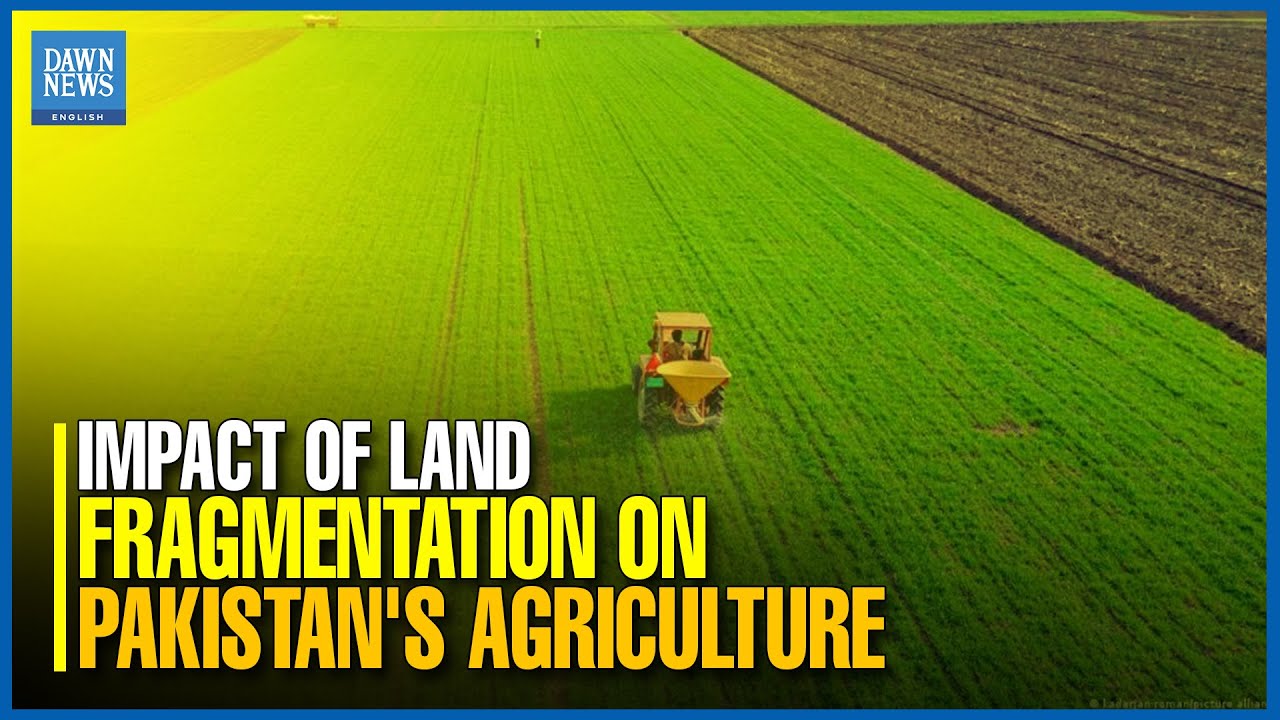 Impact of Land Fragmentation on Pakistan's Agriculture | Dawn News ...
