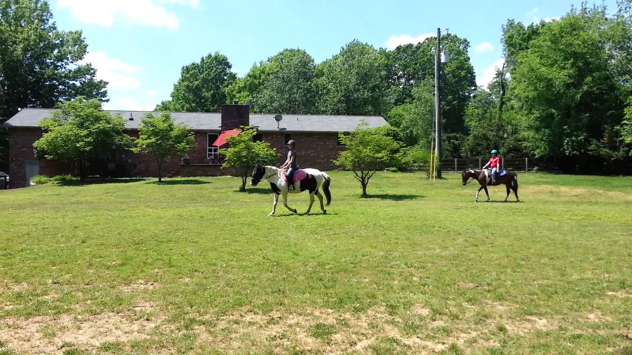 Emily & Poke 5/8/15 - YouTube