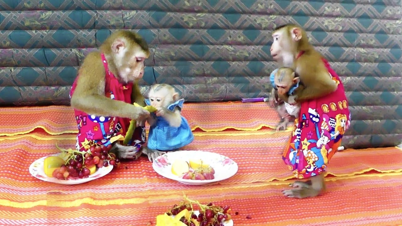 So Beautiful Mori Carry Cici With Her New Dresses, Mori Feed Mango To ...