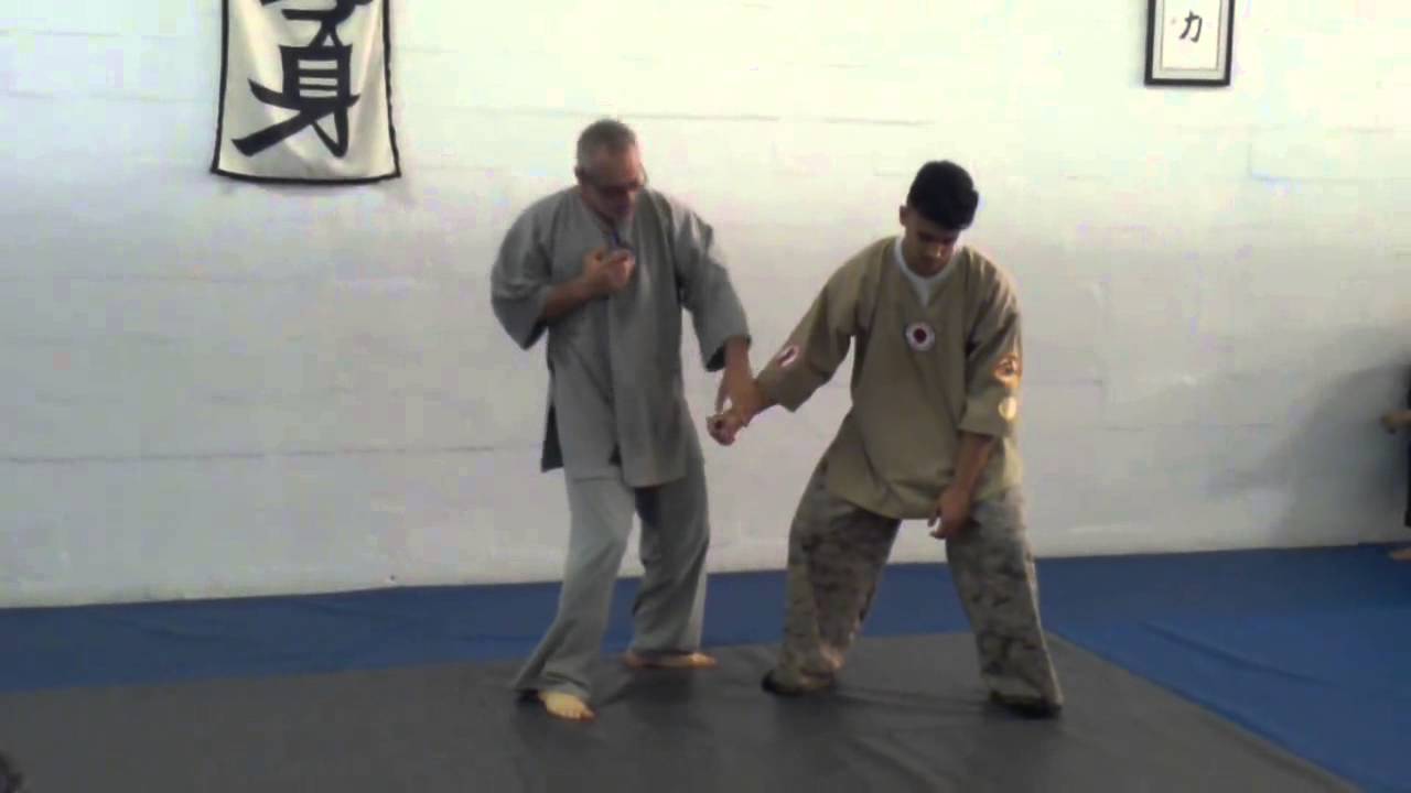 Shihan Henry at the annual Moses Powell seminar. - YouTube