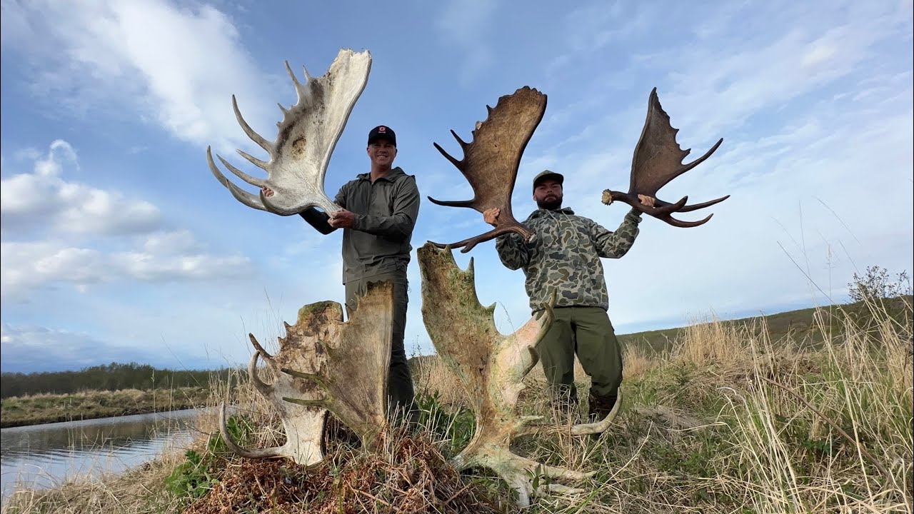 Dream trip to ALASKA! Moose shed Heaven - YouTube