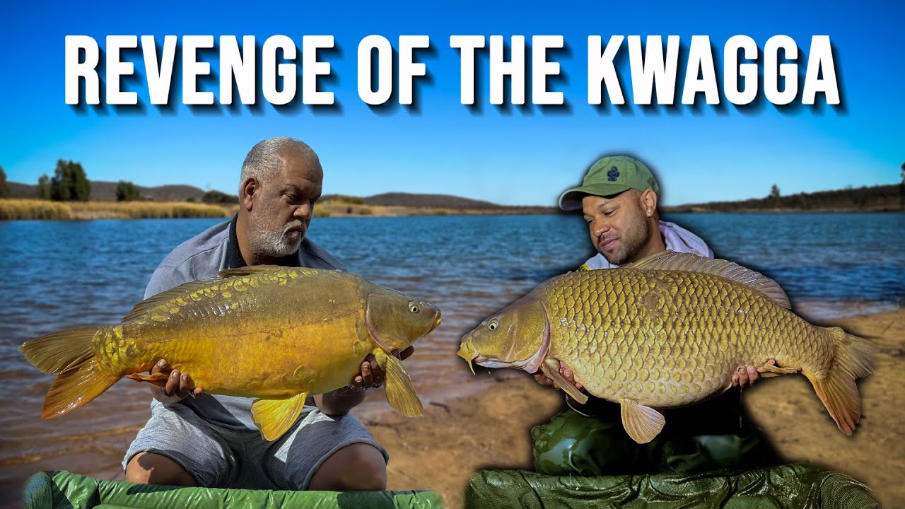 Revenge of the Kwagga - YouTube