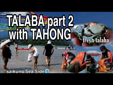 TALABA part2 with TAHONG / oyster and mussel Saikung Sea Side - YouTube